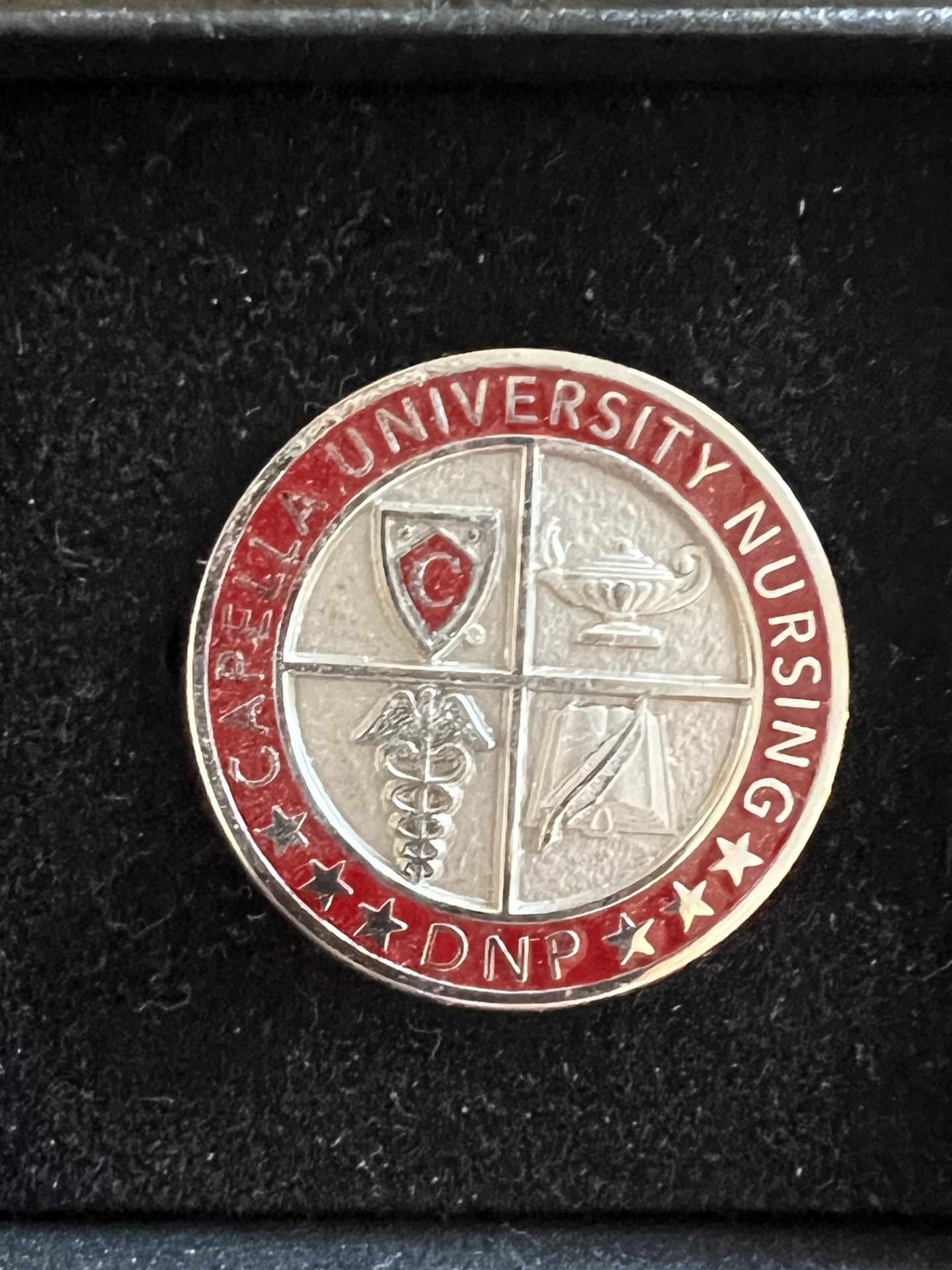 Nursing Pins & The Stories Behind Them - Illinois Nurses Foundation