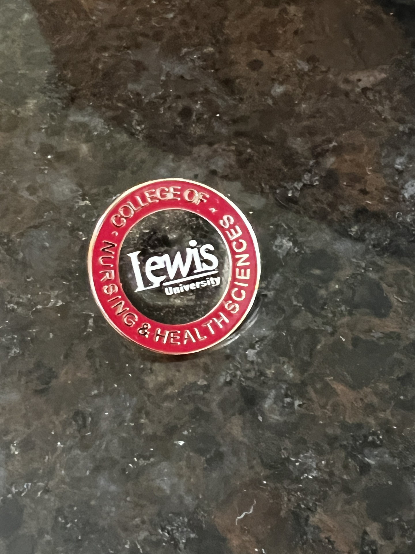 Nursing Pins & The Stories Behind Them - Illinois Nurses Foundation